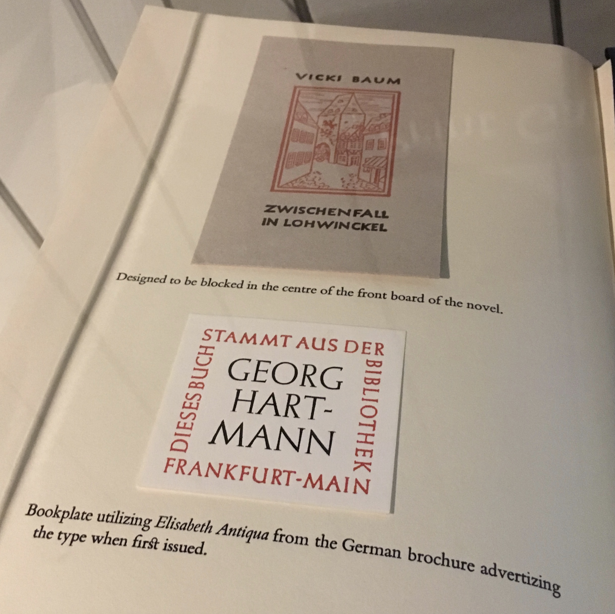 The Work of Elizabeth Friedlander at Ditchling Museum of Art + Craft ...